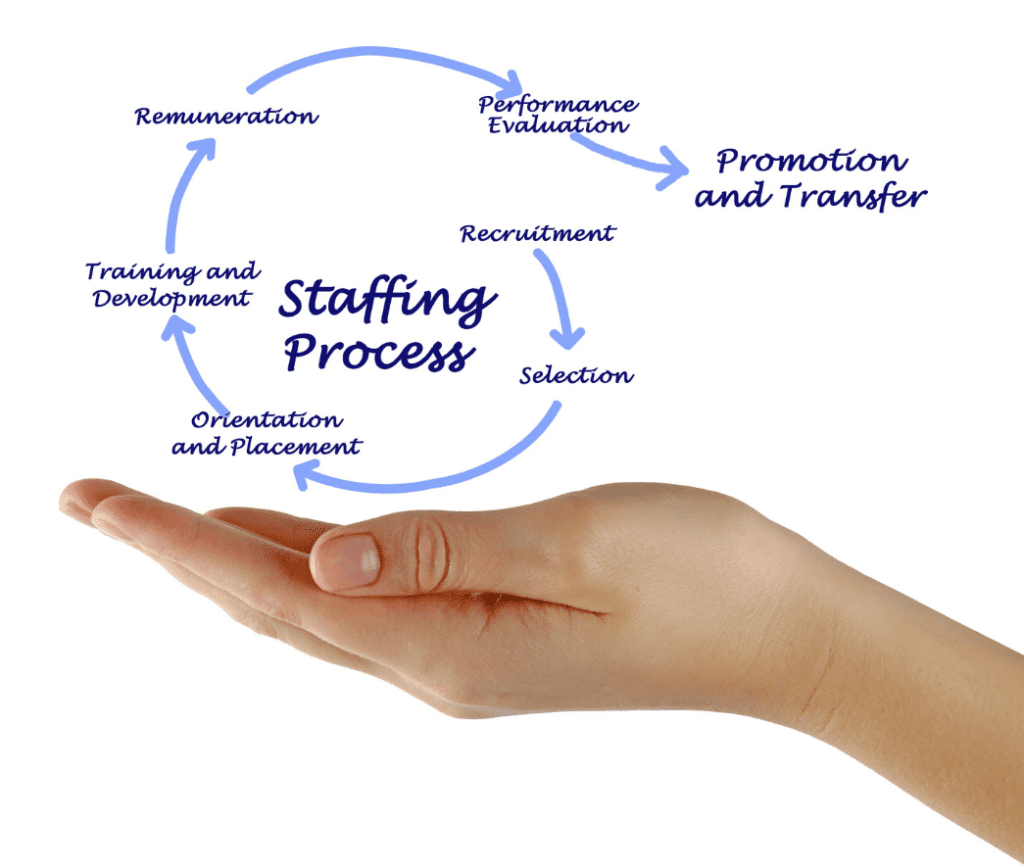 Efficient Staffing Solutions: SunSoft Technology's Tailored Staffing ...